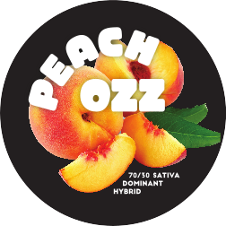 Peach Ozz – Team Elite Genetics