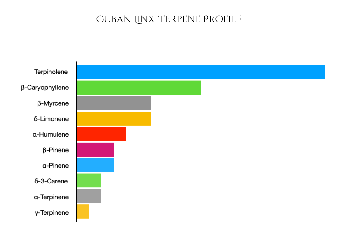 Cuban Linx – Team Elite Genetics
