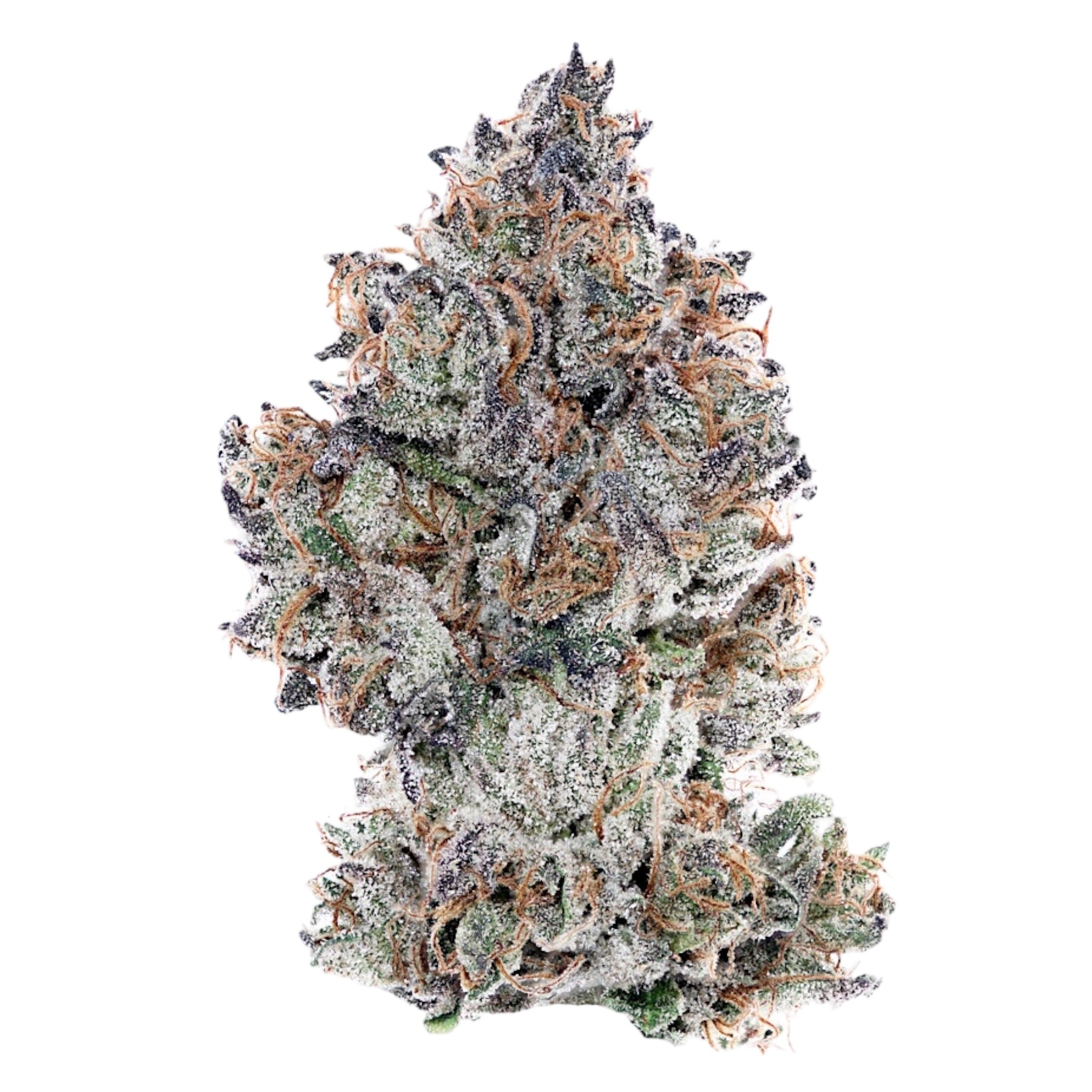 Flower – Team Elite Genetics