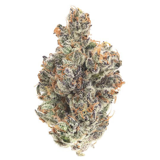 White Bronco – Team Elite Genetics