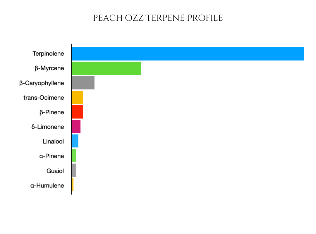 Peach Ozz Flower by Team Elite Genetics