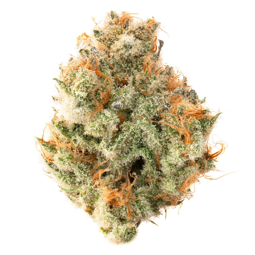 Banana Taffy Flower by Team Elite Genetics